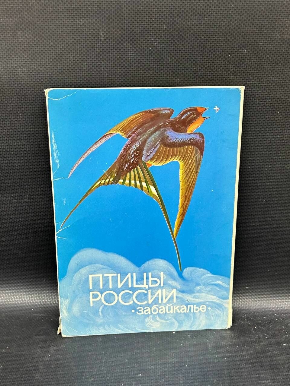 Птицы России, Забайкалье. Набор из открыток