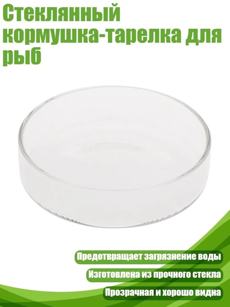 Стеклянный кормушка-тарелка для рыб, - M