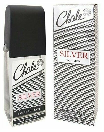 Positive Parfum Туалетная вода мужская Chale Silver, 100 мл