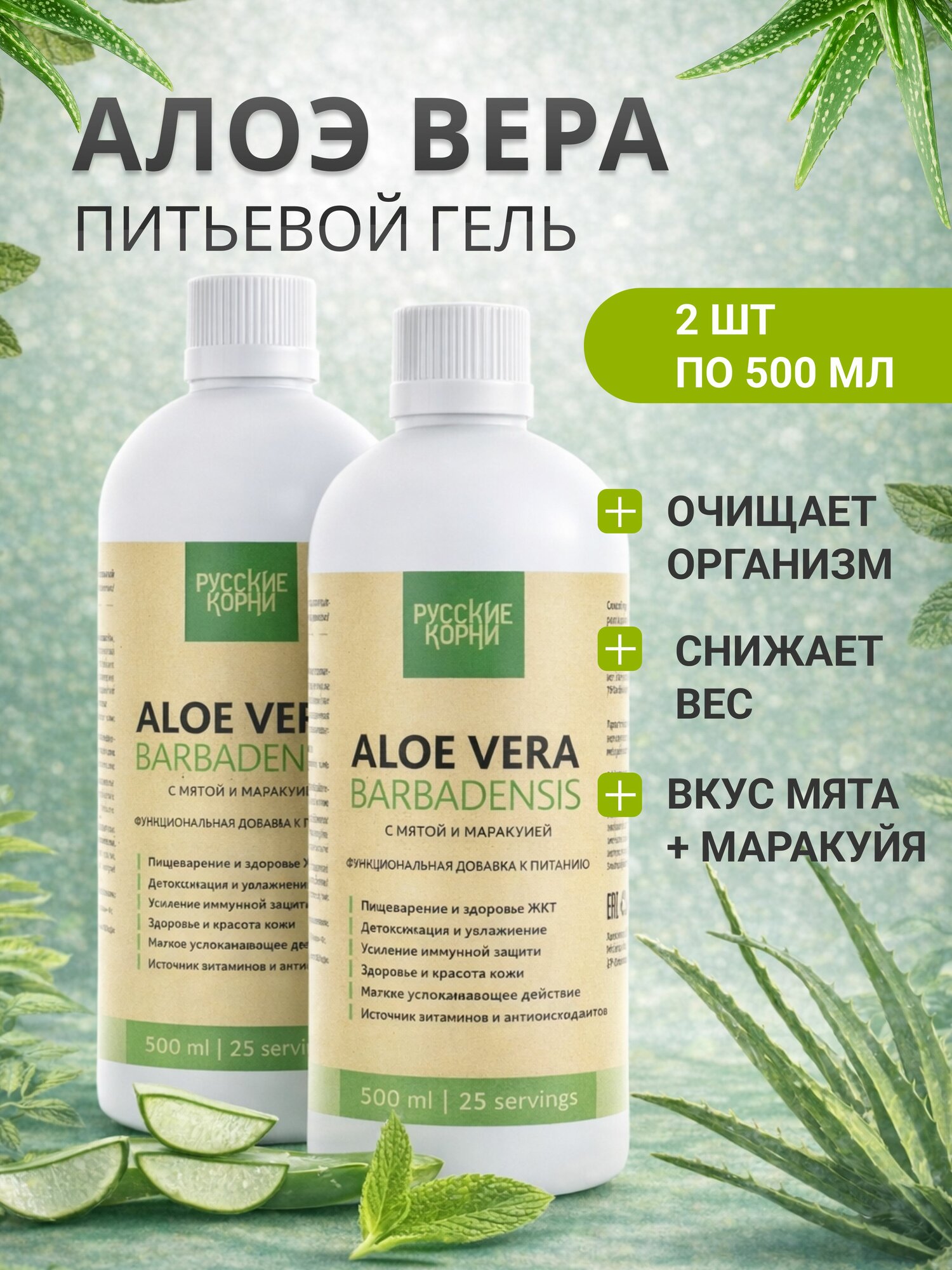 Детокс-напиток Алоэ с маракуйей, мятой и хлорофиллом Total 500 мл, набор - 2 шт, Русские корни