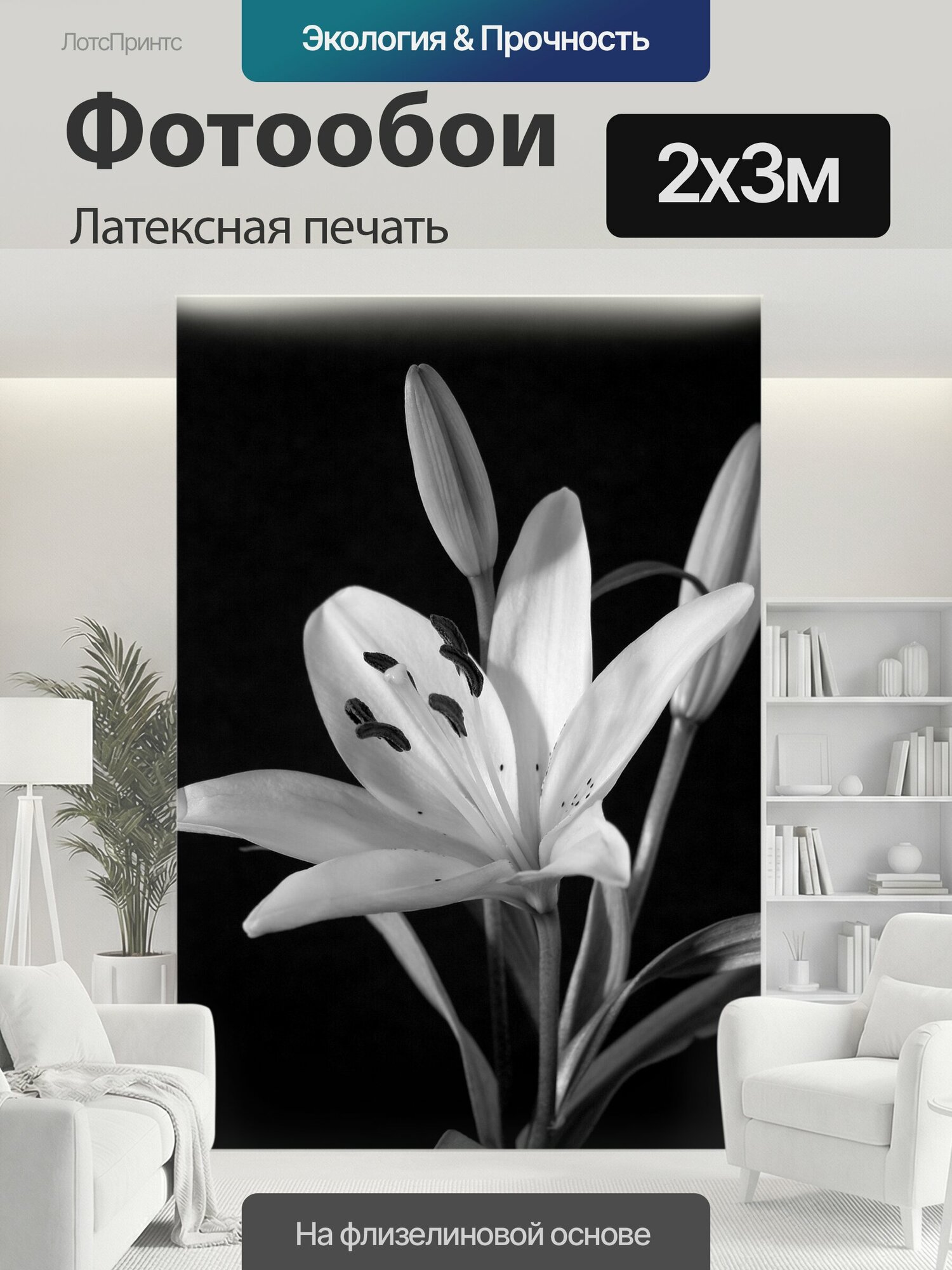 Фотообои моющиеся ударопрочные "Лили, лилии, цветок" 200x300 см. латексная печать