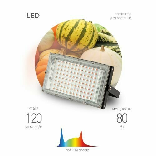 Прожектор светодиодный FITO-80W-Ra90-LED-Y 80Вт для растений полноспектральный IP65 Эра Б0057284