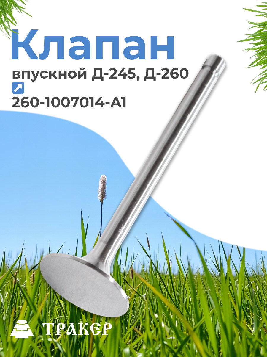 Клапан 260-1007014-А1 впускной для Д-245, Д-260