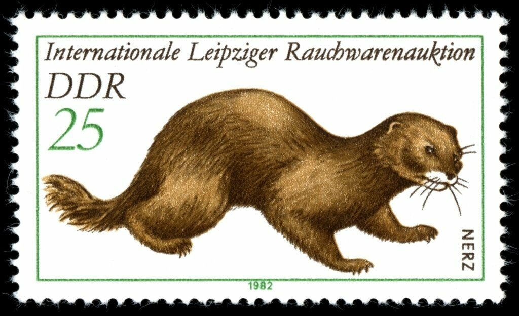 (1982-015) Марка Германия (ГДР) "Европейская норка" Меховая ярмарка II