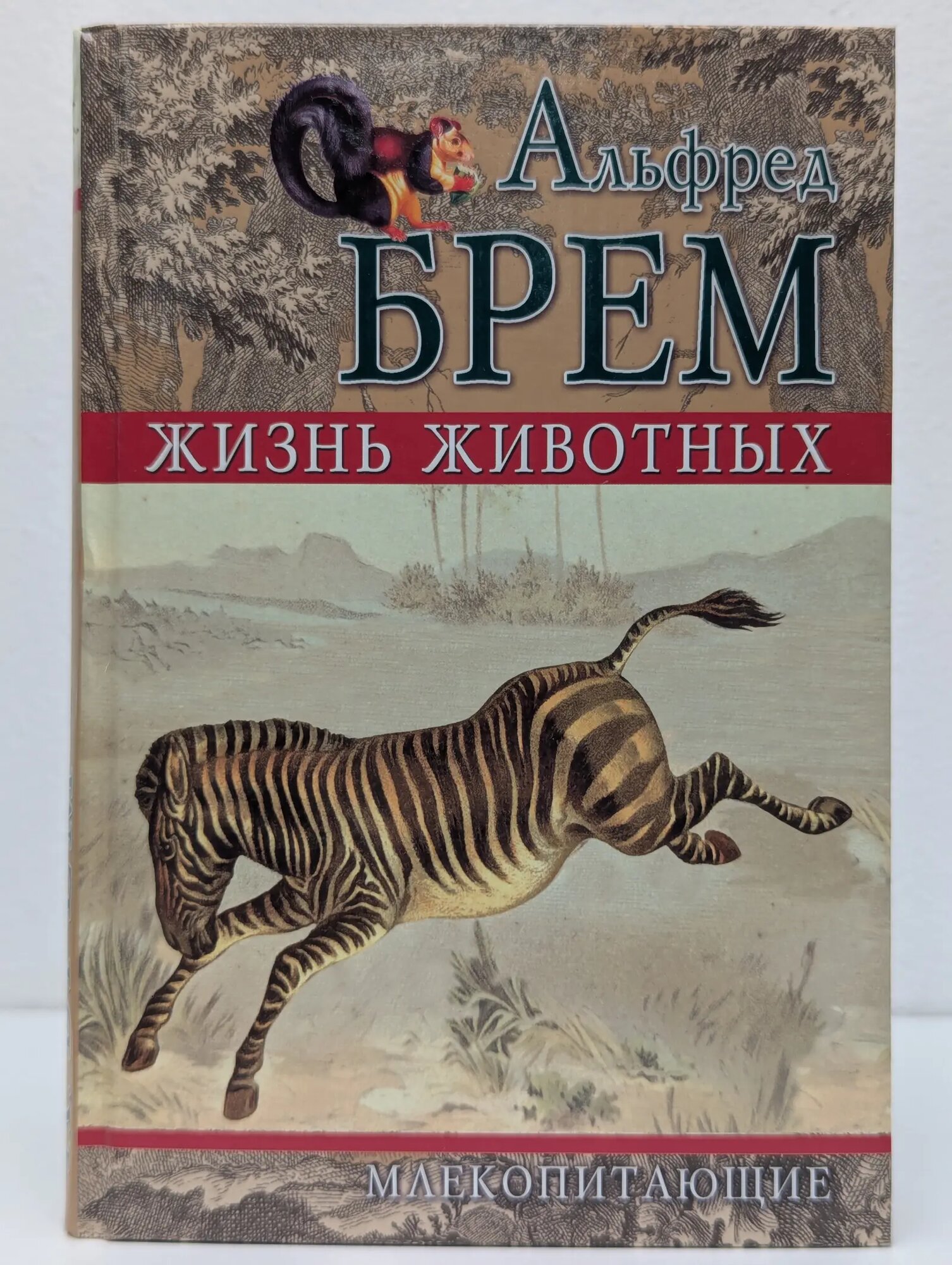 Жизнь животных. В 6 томах. Том 5. Млекопитающие Брэм Альфред Эдмунд 2008