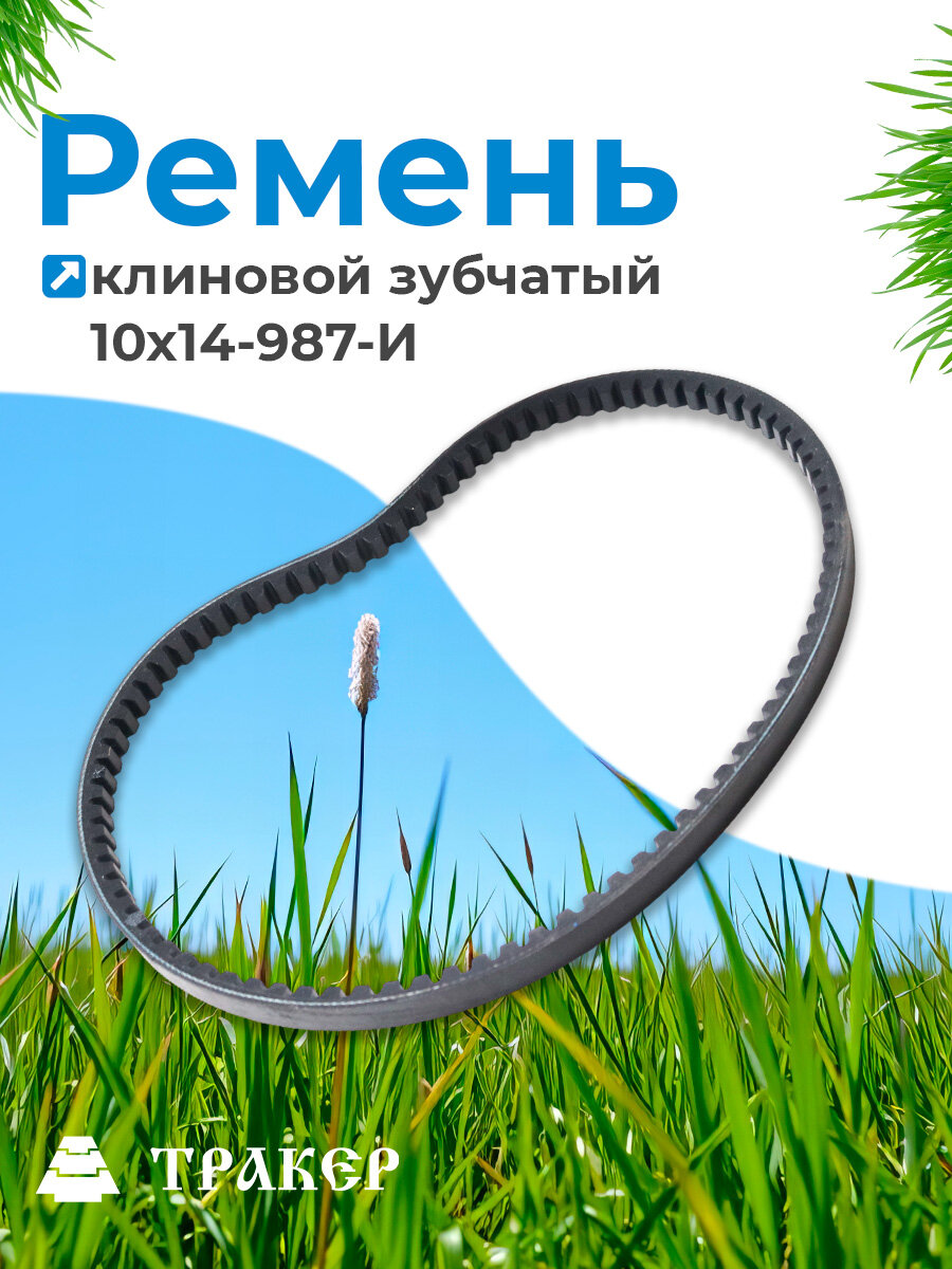 Ремень клиновой зубчатый 10х14-987-И для МАЗ-500, МАЗ-504, КрАЗ-257, К-700