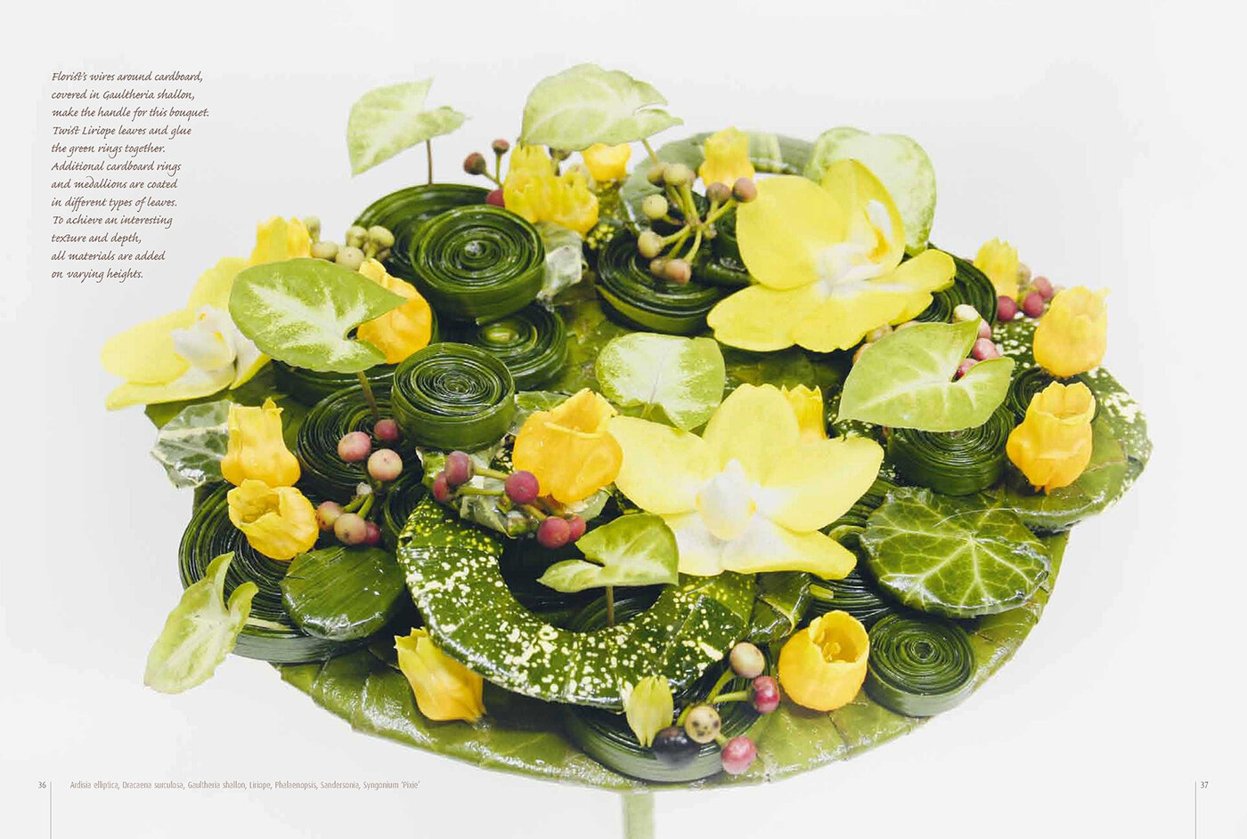 Damien Koh. Monograph — фото 1
