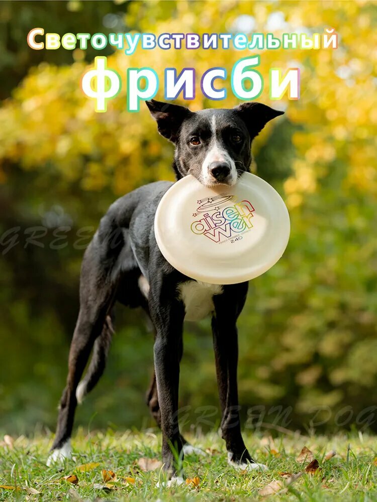 Фрисби для собак