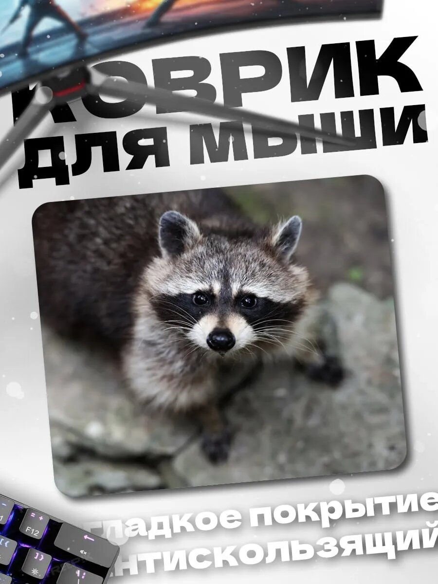 Коврик для мыши енот смотрит вверх