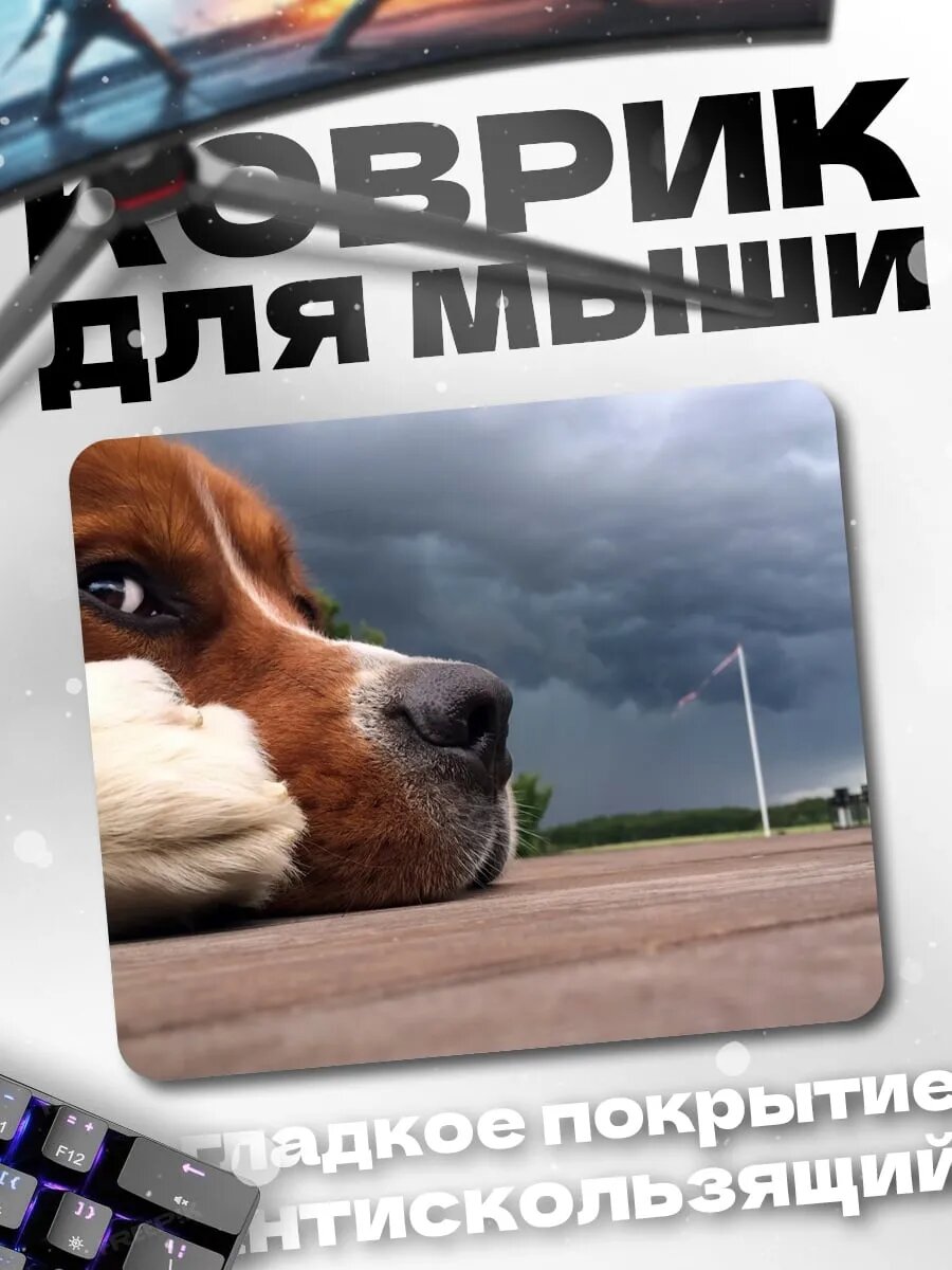Коврик для мыши Собака и гроза