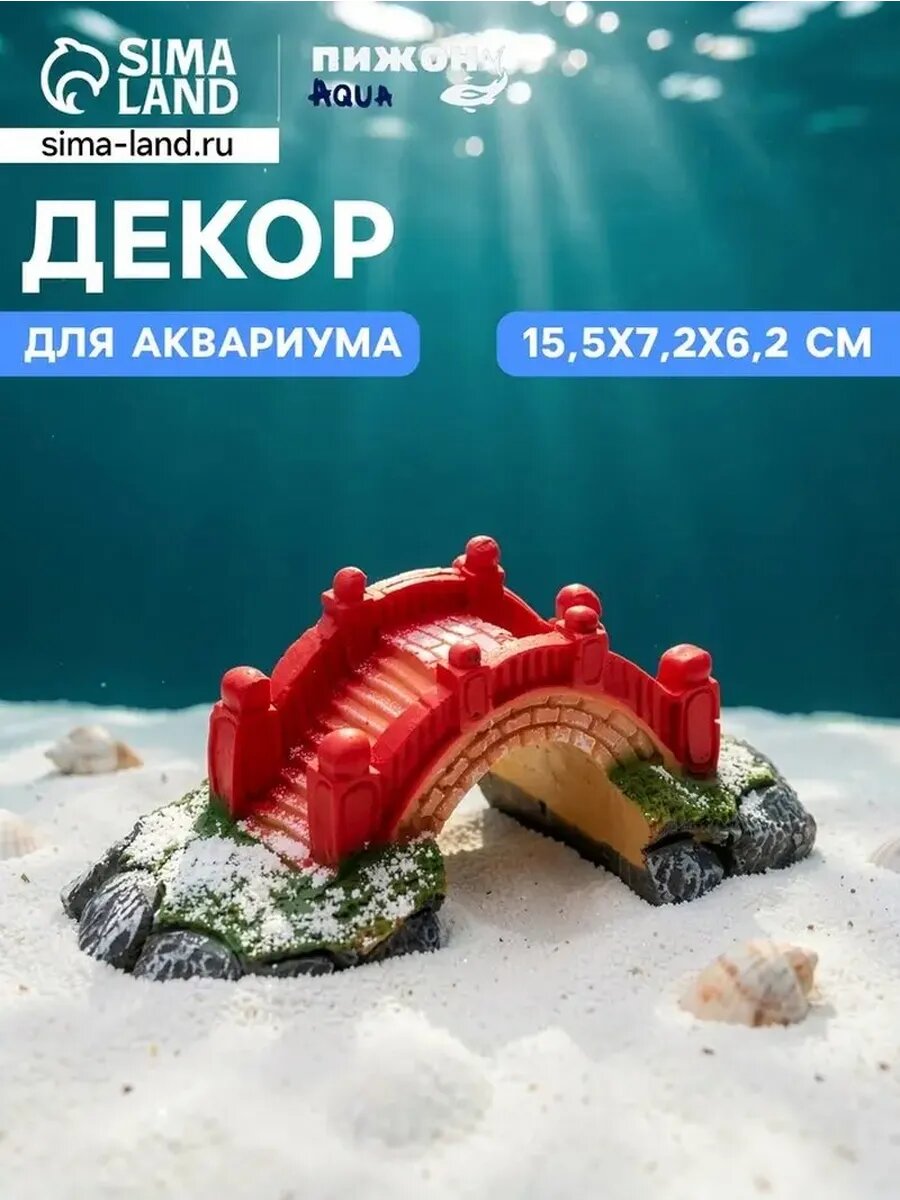 Яркий аквариумный мост для ярких ландшафтов