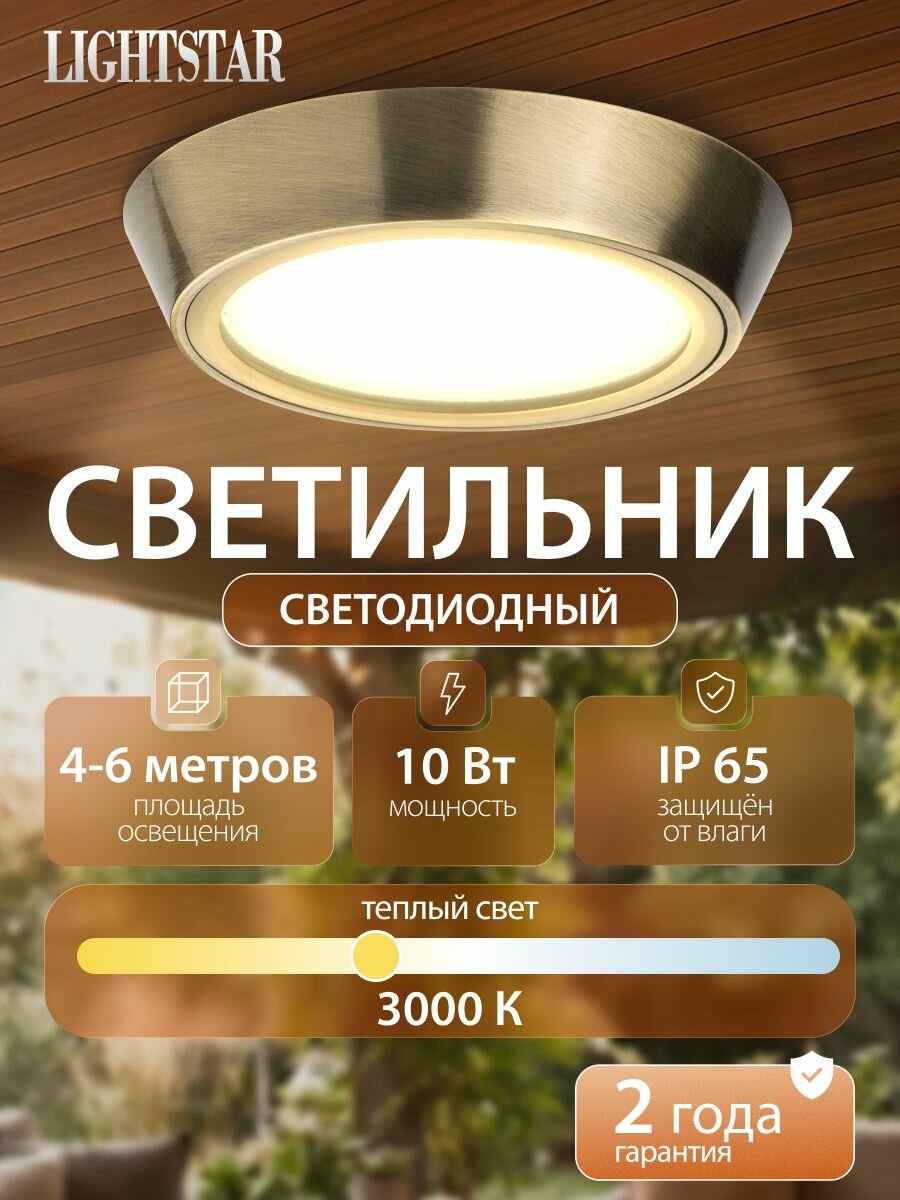 Светильник потолочный светодиодный влагозащищенный Lightstar URBANO 214912, IP65 для ванной и улицы, 3000K, 10W, круглый, бронза