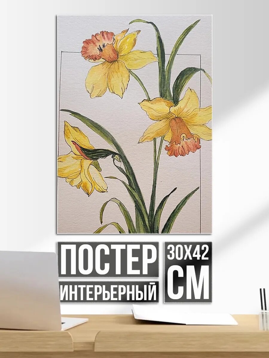 Плакат постер Весенние нарциссы