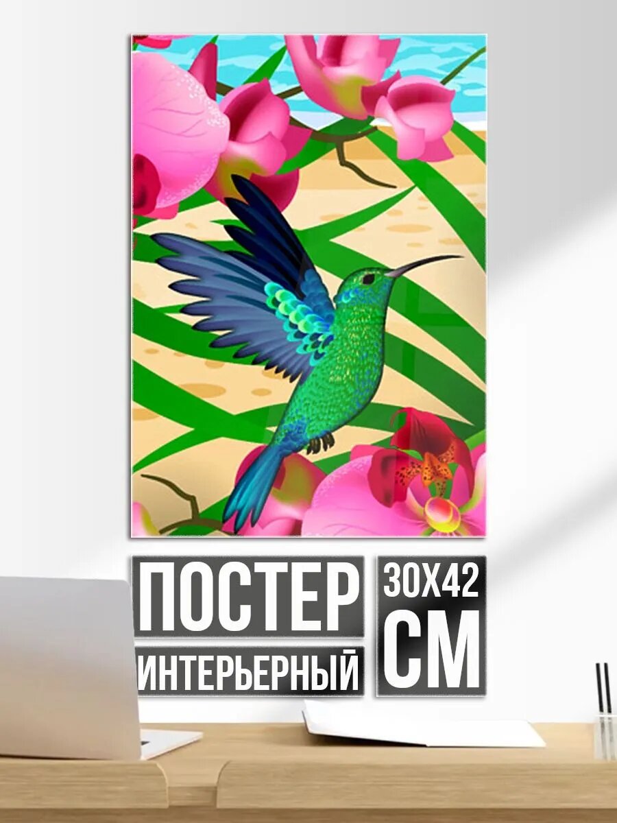 Постер на стену Колибри и орхидеи