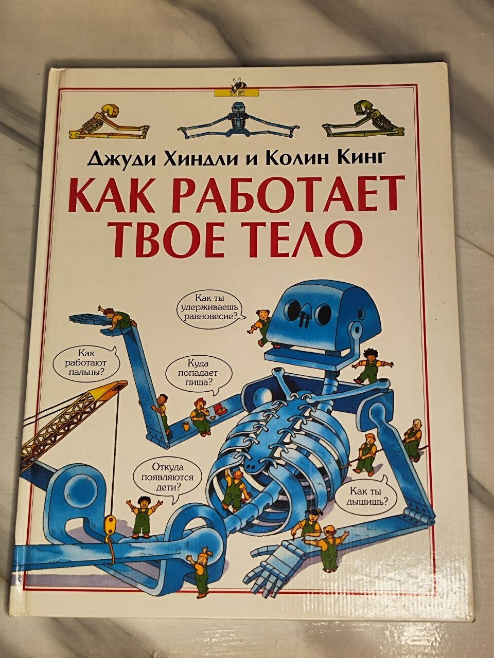 Как работает твое тело