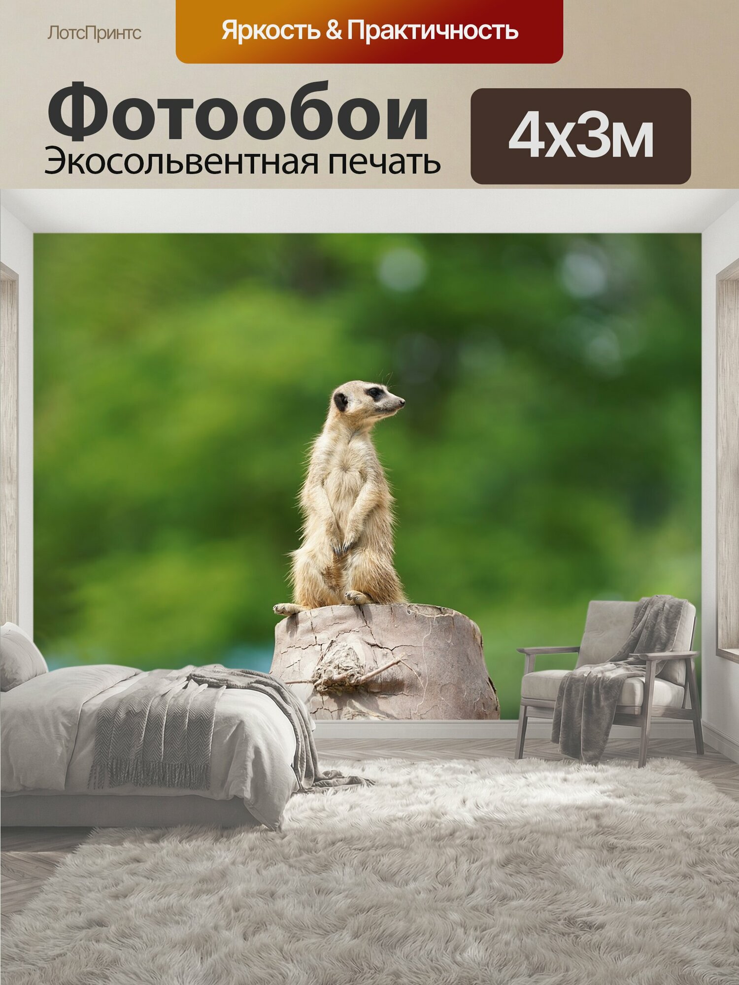Фотообои "Сурикат, осторожно, хранитель" 400x300 см. экосольвентная печать