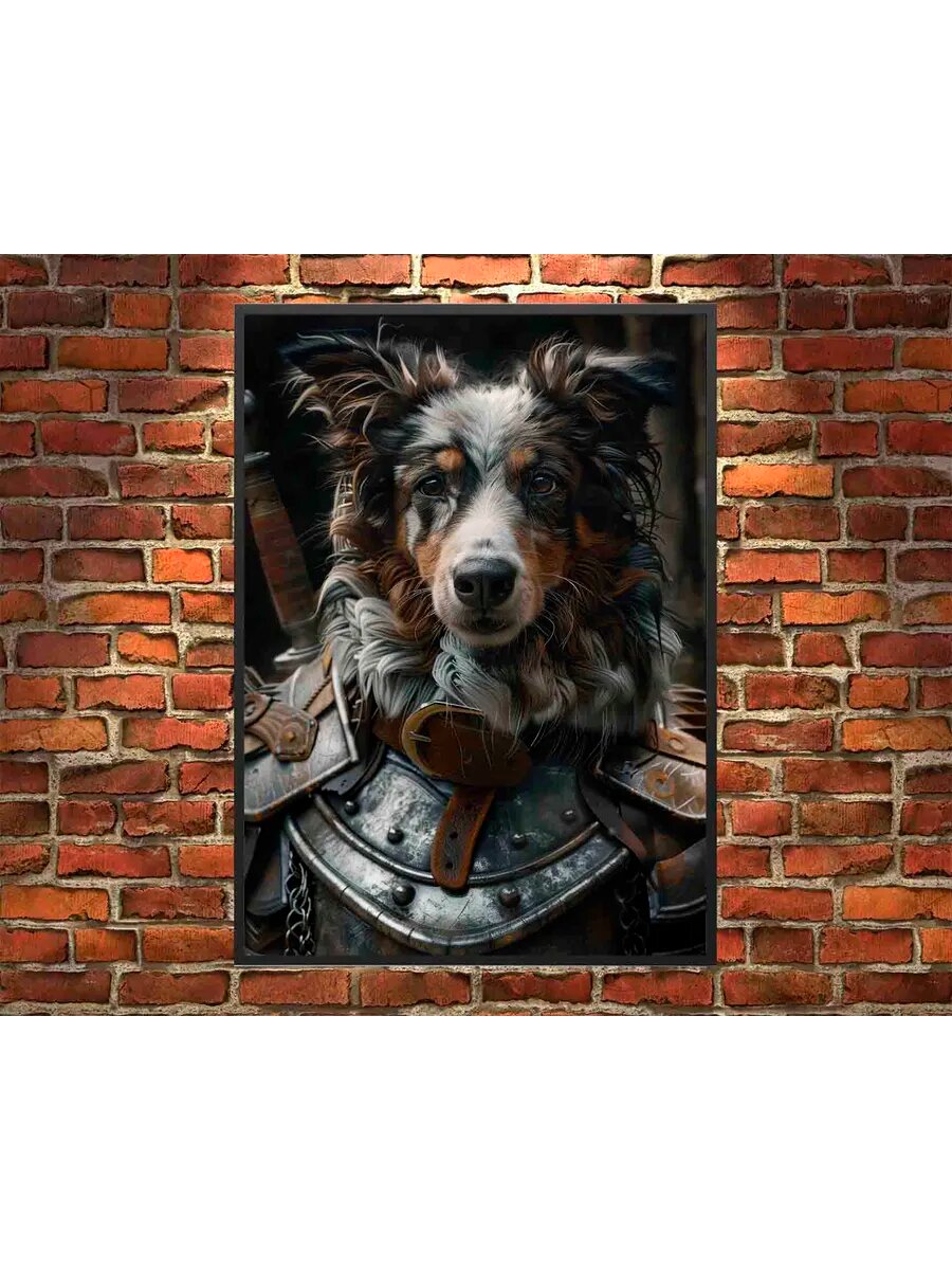 Австралийская овчарка Рыцарь 1, Плакат 30x42см
