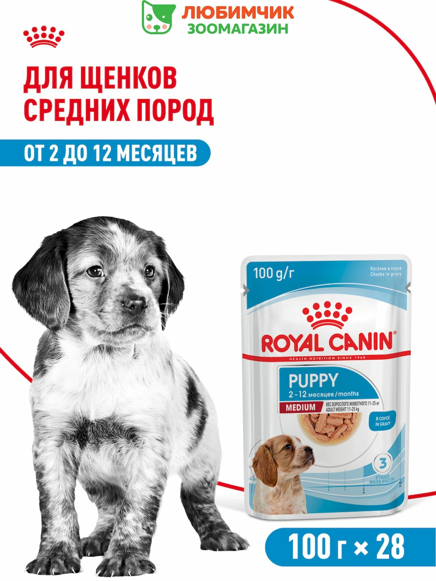 Royal Canin влажный корм для щенков средних пород, в соусе (24шт в уп) 100 гр