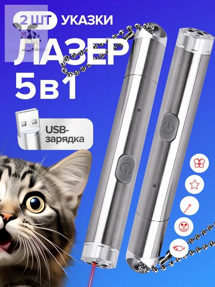 Лазерная указка 5 в 1 для кошек и собак с USB зарядкой, 2 шт