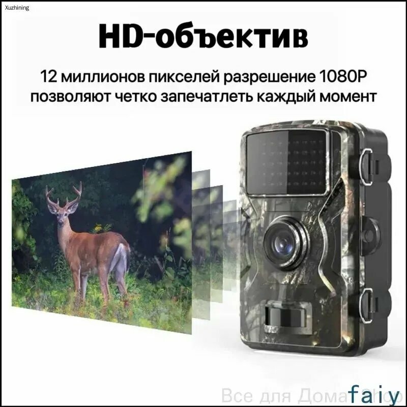 Фотоловушка — фото 1