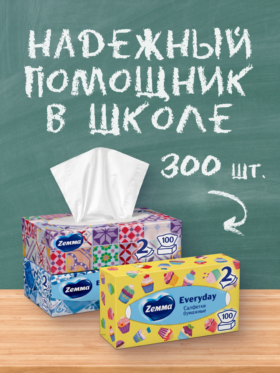 Салфетки бумажные в коробке Zemma Everyday, 2 слоя, Набор 3Х100 шт