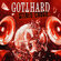 Компакт-диск Gotthard — Stereo Crush (RU)(CD)
