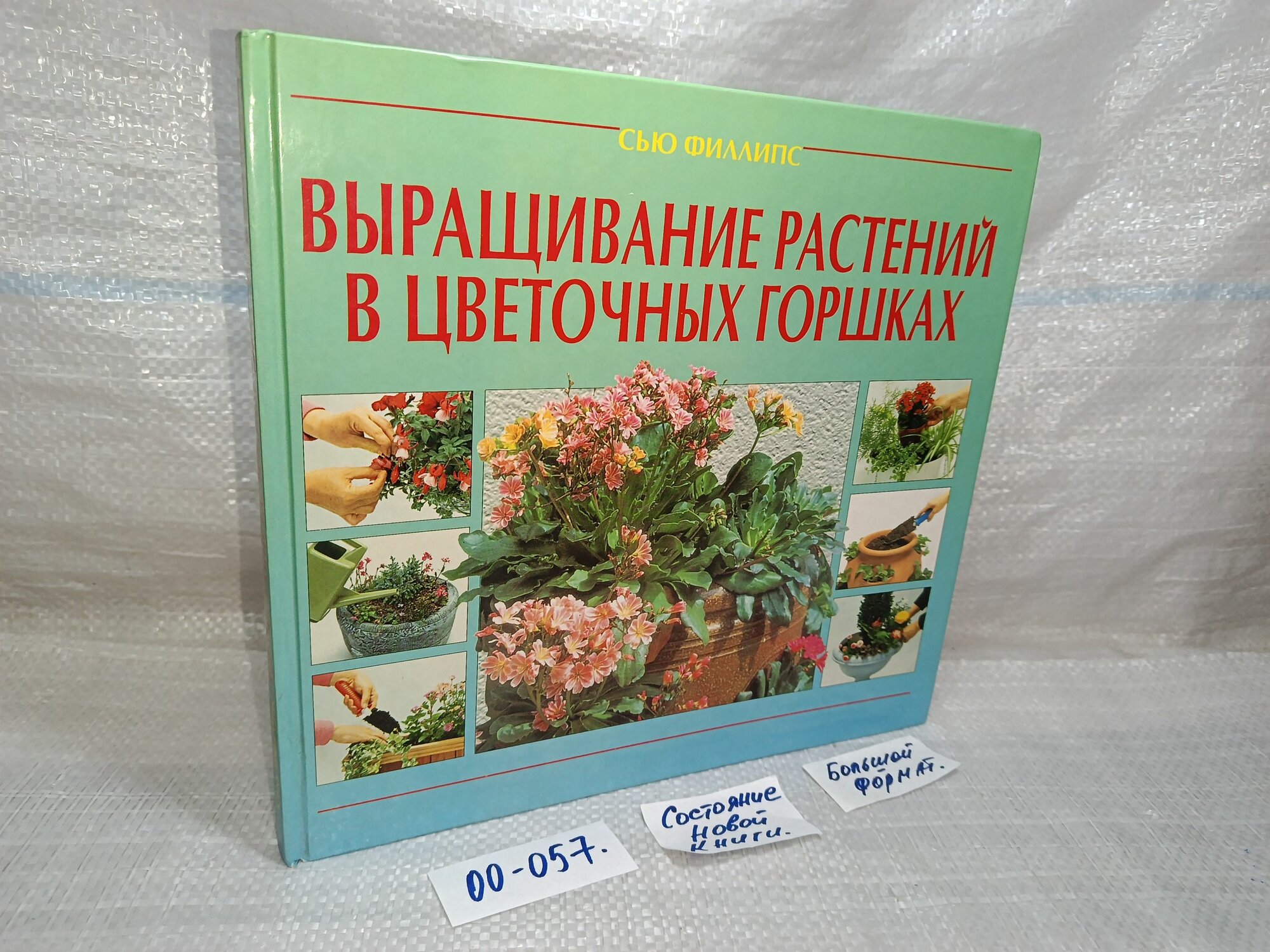 Выращивание растений в цветочных горшках Филлипс Сью
