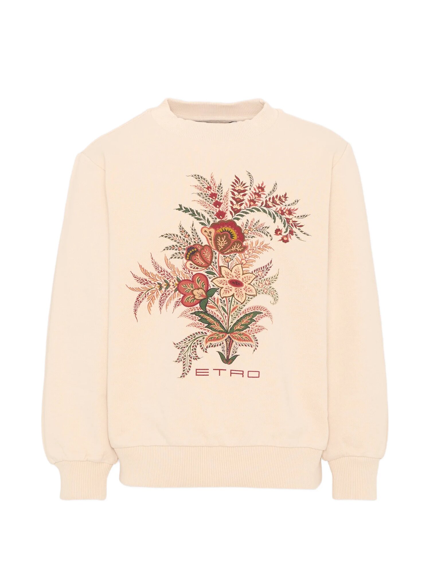 Толстовка ETRO