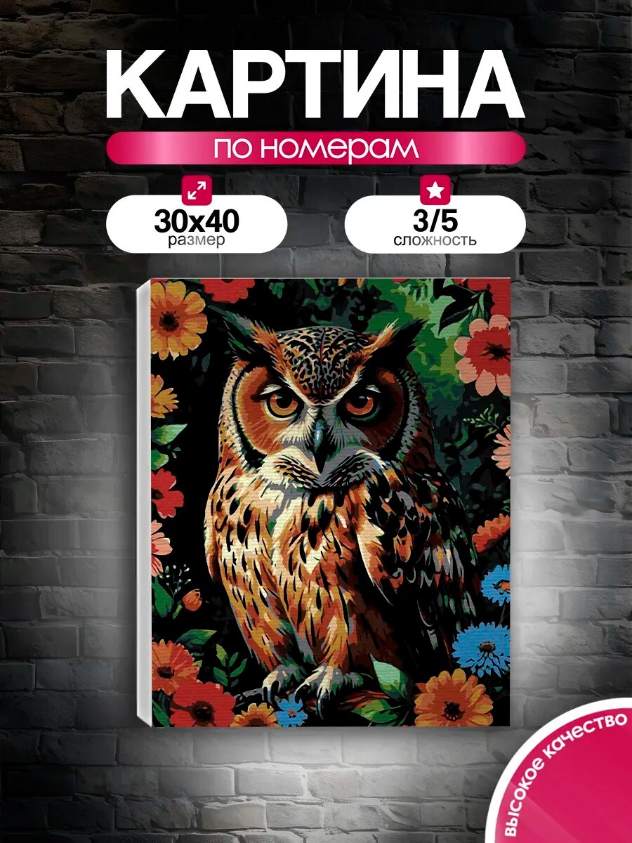 Картина по номерам 30x40 Сова в лесу