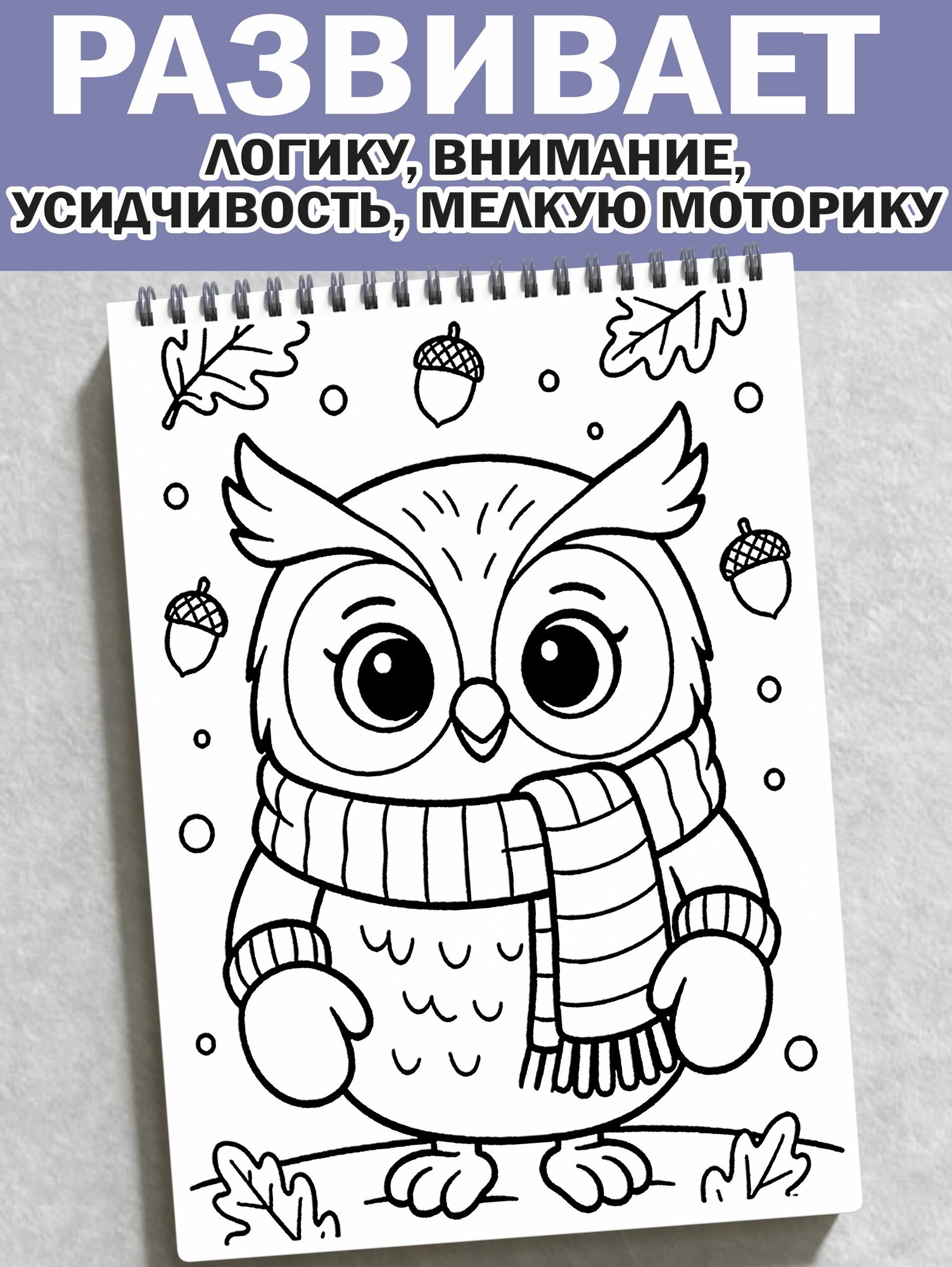 Раскраска Совы — фото 1