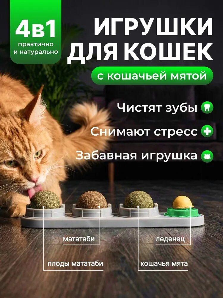 Игрушки для кошек, кошачья мята, леденец для кошек, шарик на стену