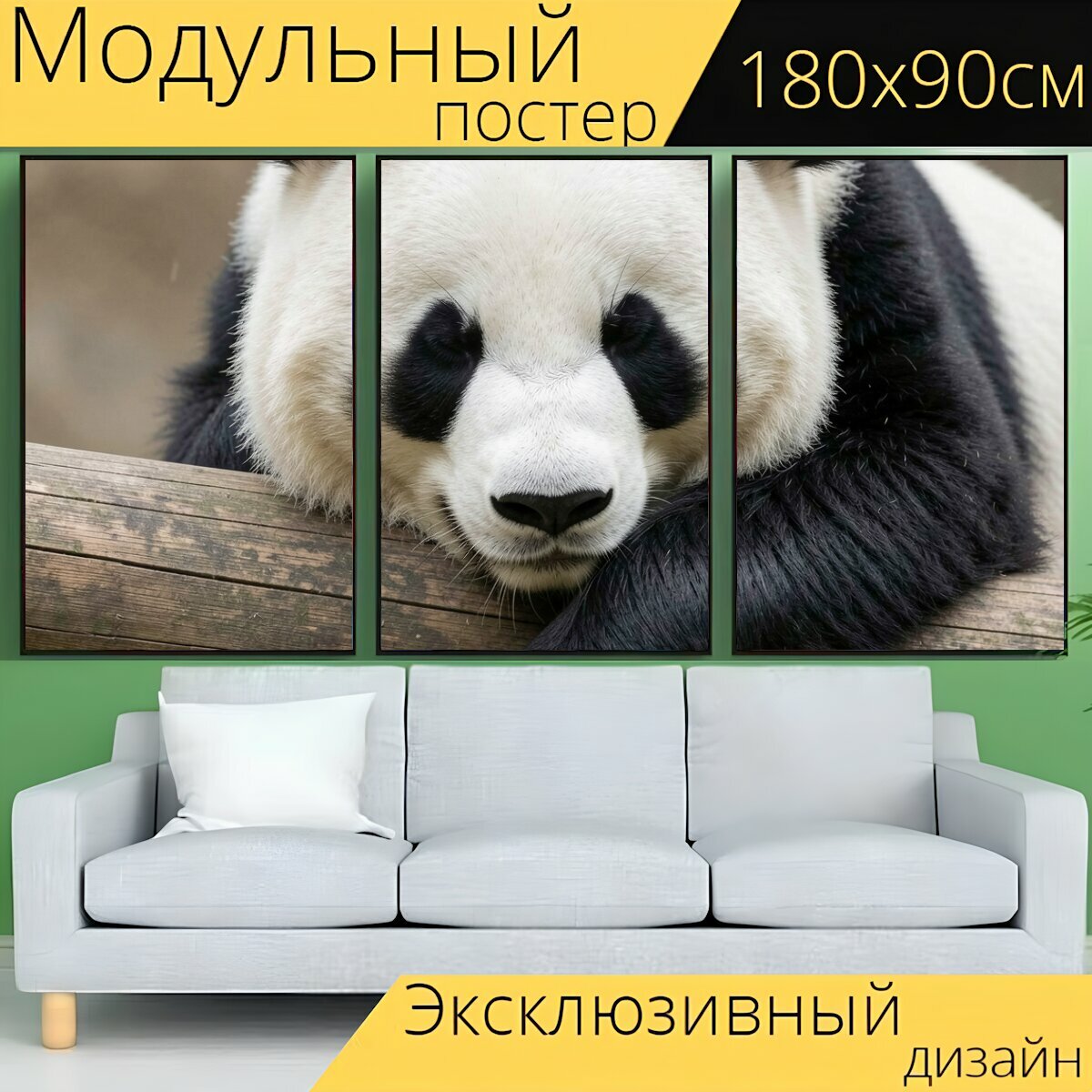 Модульный постер "Большая панда на бревне. Черно-белый бамбуковый медведь в крупном плане спокойно лежит на деревянной перекладине." 180 x 90 см. для интерьера на стену в тубусе