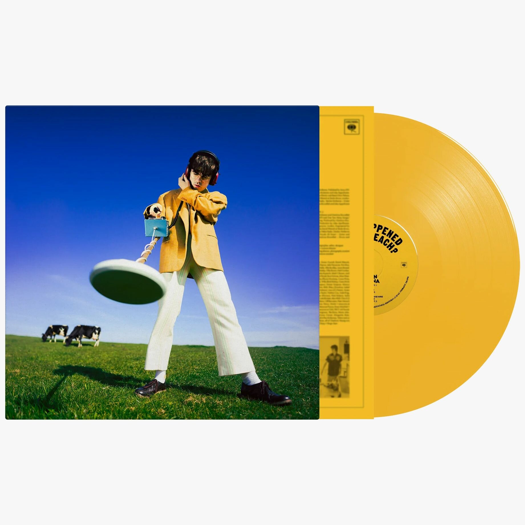 Declan McKenna - What Happened To The Beach - Yellow Vinyl - новая виниловая пластинка