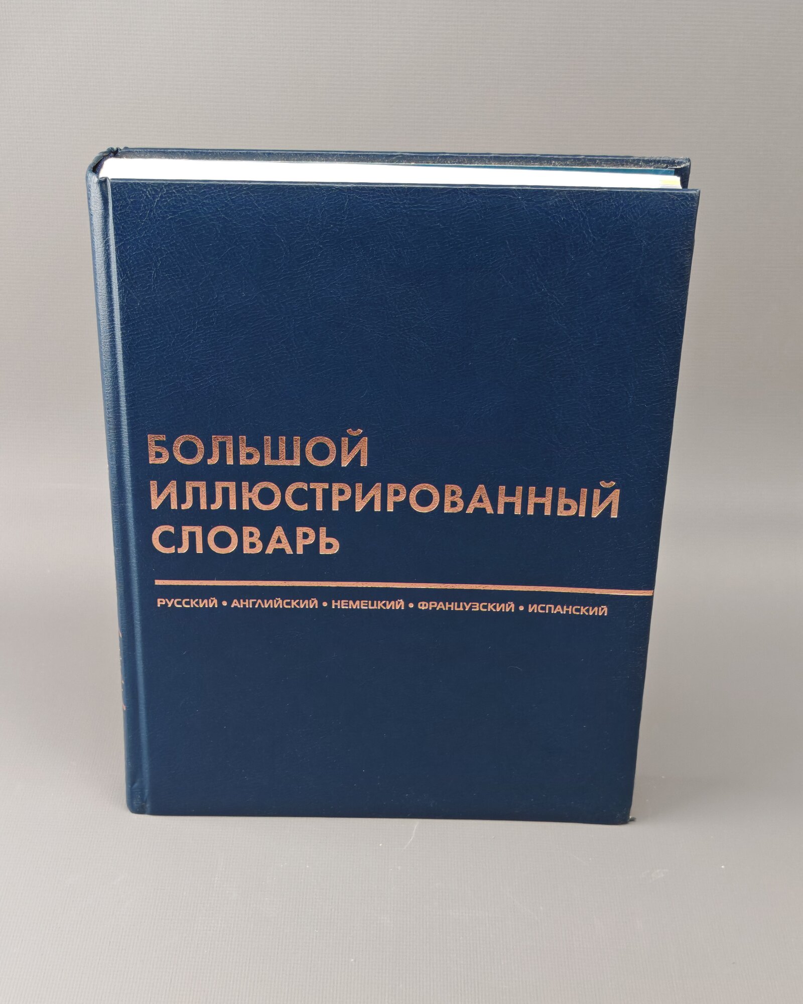 Большой иллюстрированный словарь. Русский. Английский. Немецкий. Французский. Испанский