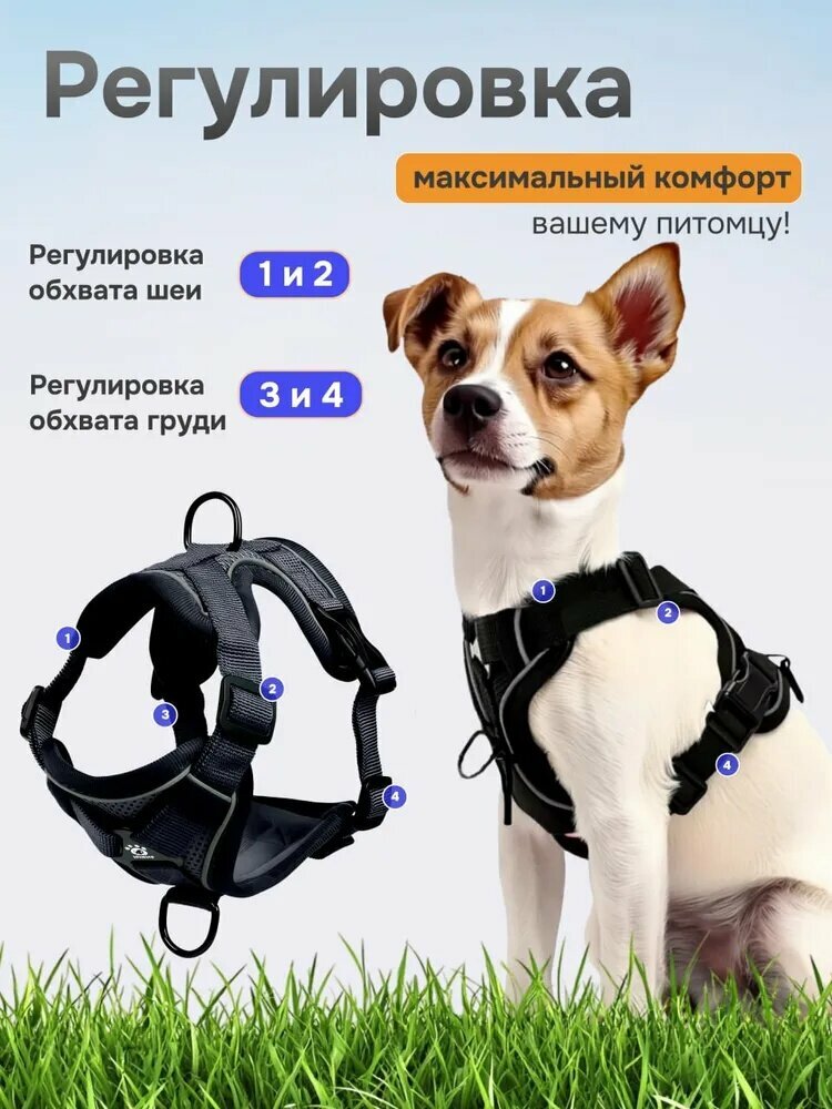 Шлейка — фото 1