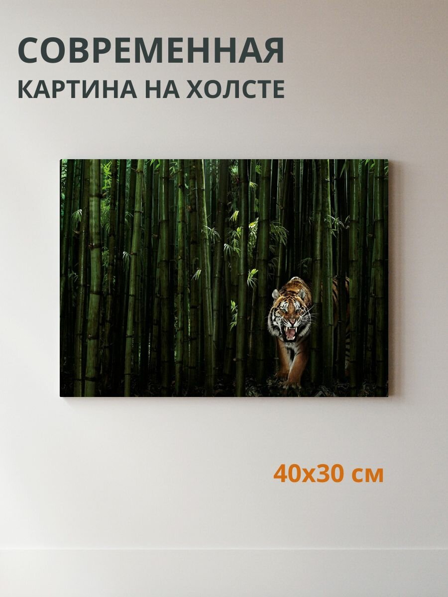 Картина на холсте Тигр в лесу 40x30 см