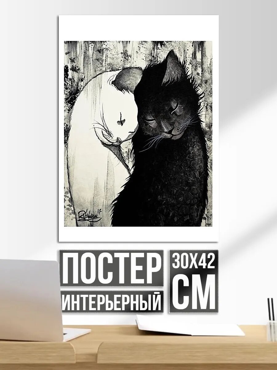 Плакат постер Два кота инь-ян