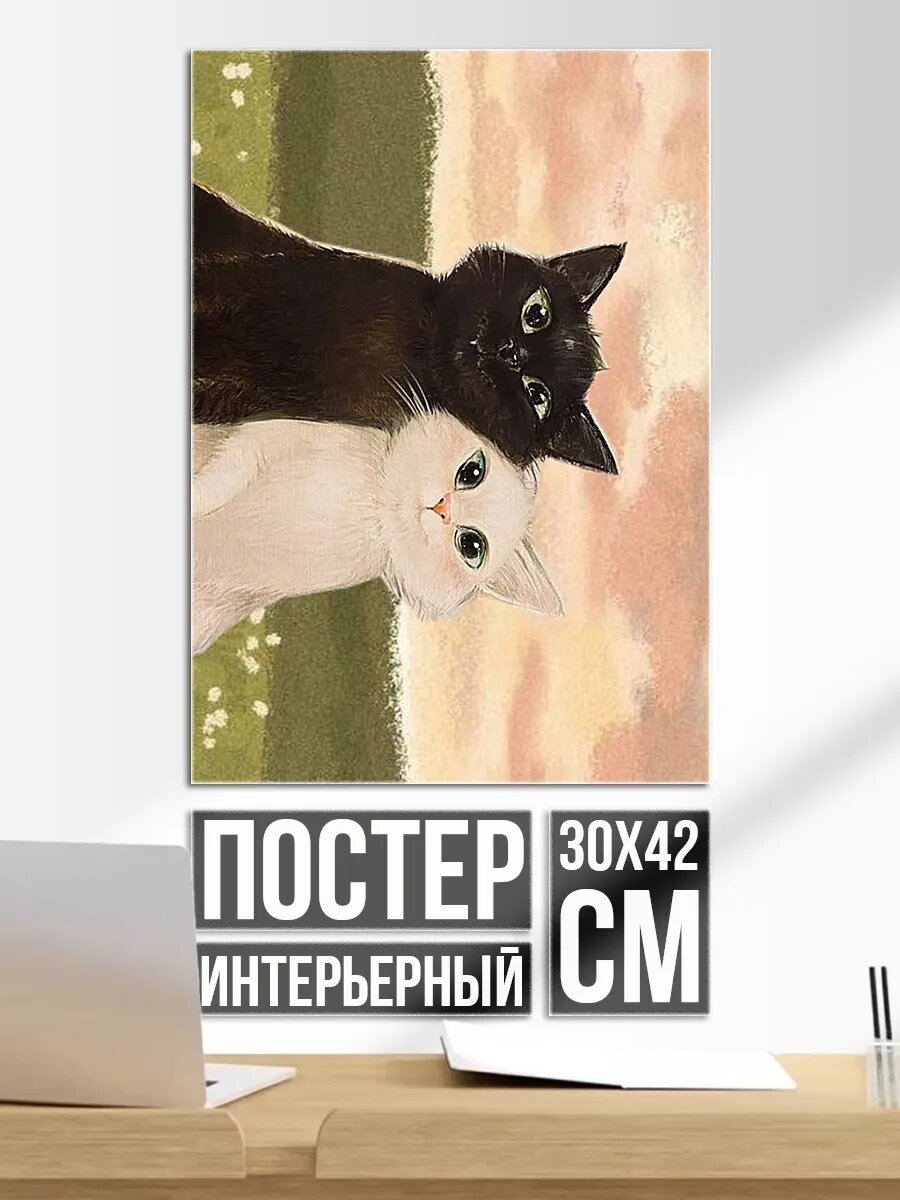 Плакат постер Черный и белый коты
