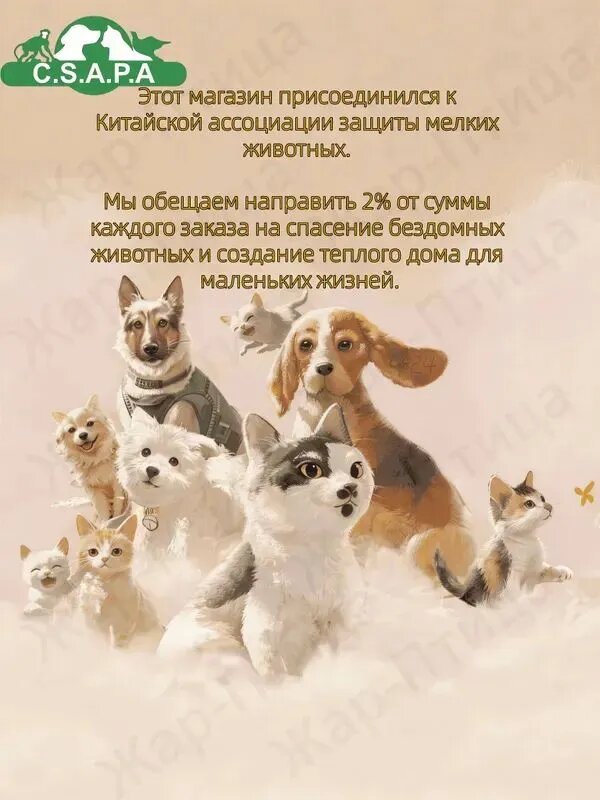 Стильное ожерелье с прахом питомца — фото 1
