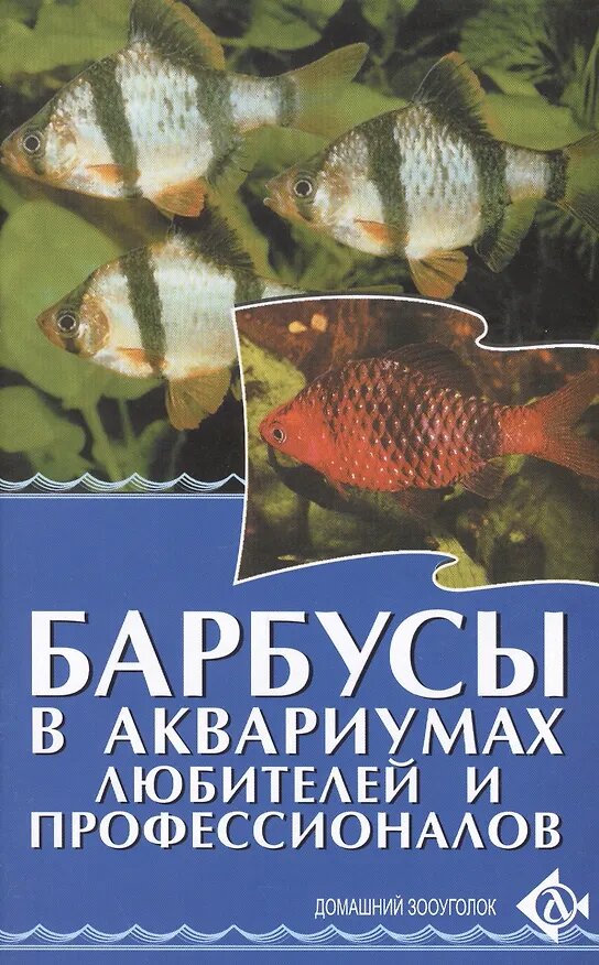 Барбусы в аквариумах любителей и профессионалов