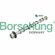 BORSEHUNG B13031 Распредвал