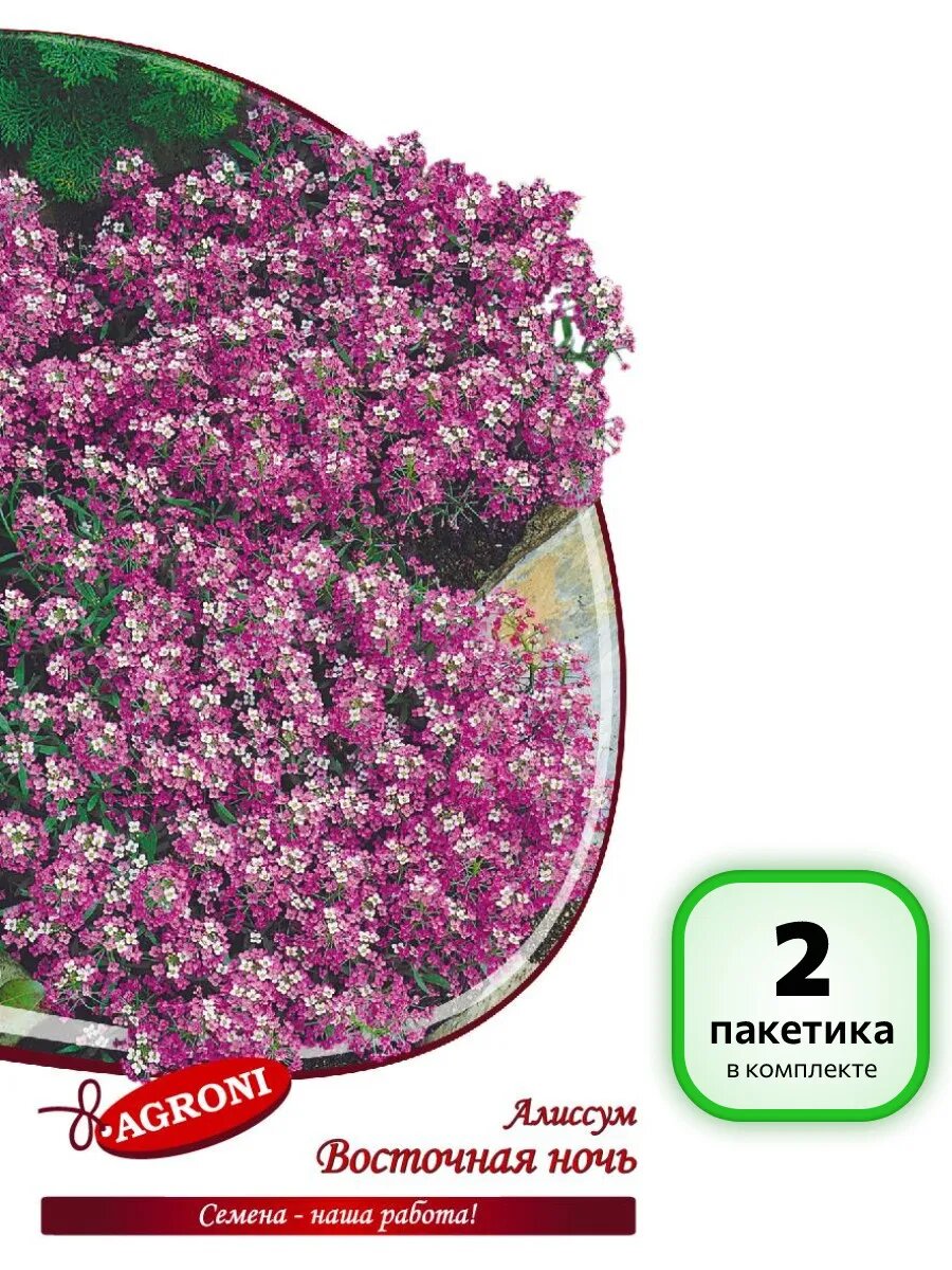 (2 шт.) - Семена Алиссум (лобулярия) Восточная ночь (0,1г)