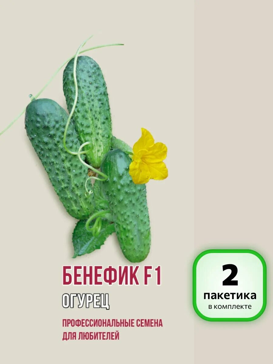 (2 шт.) - Семена Огурец бенефик F1 5 шт