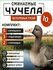 Чучело