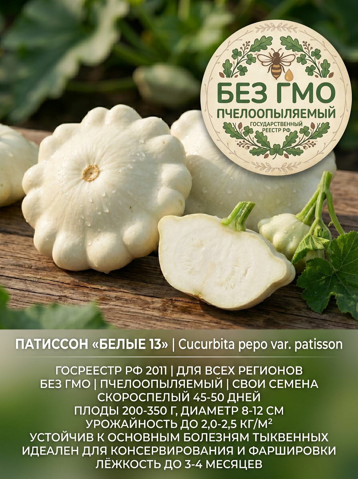 Семена патиссон Белые 13 Cucurbita pepo Госреестр 2011 Скороспелый 45-50 дн без ГМО