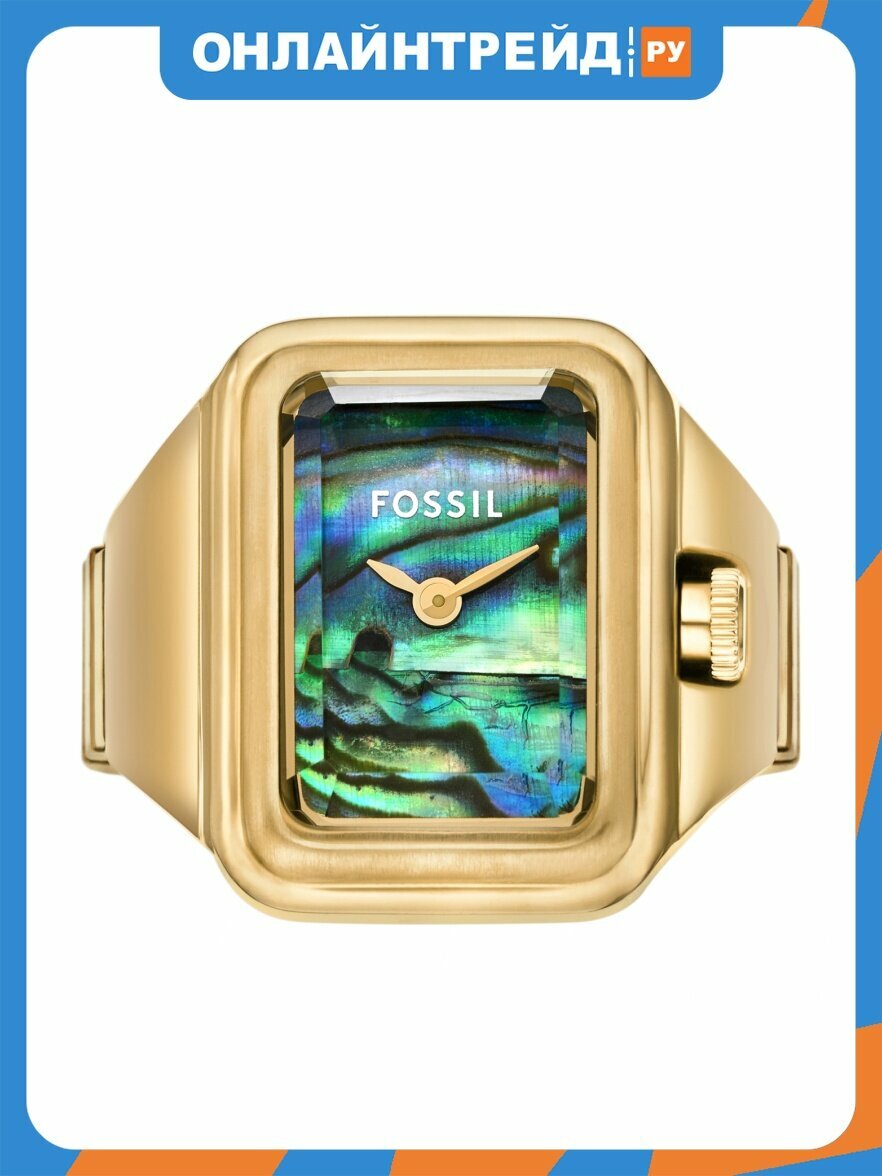  FOSSIL