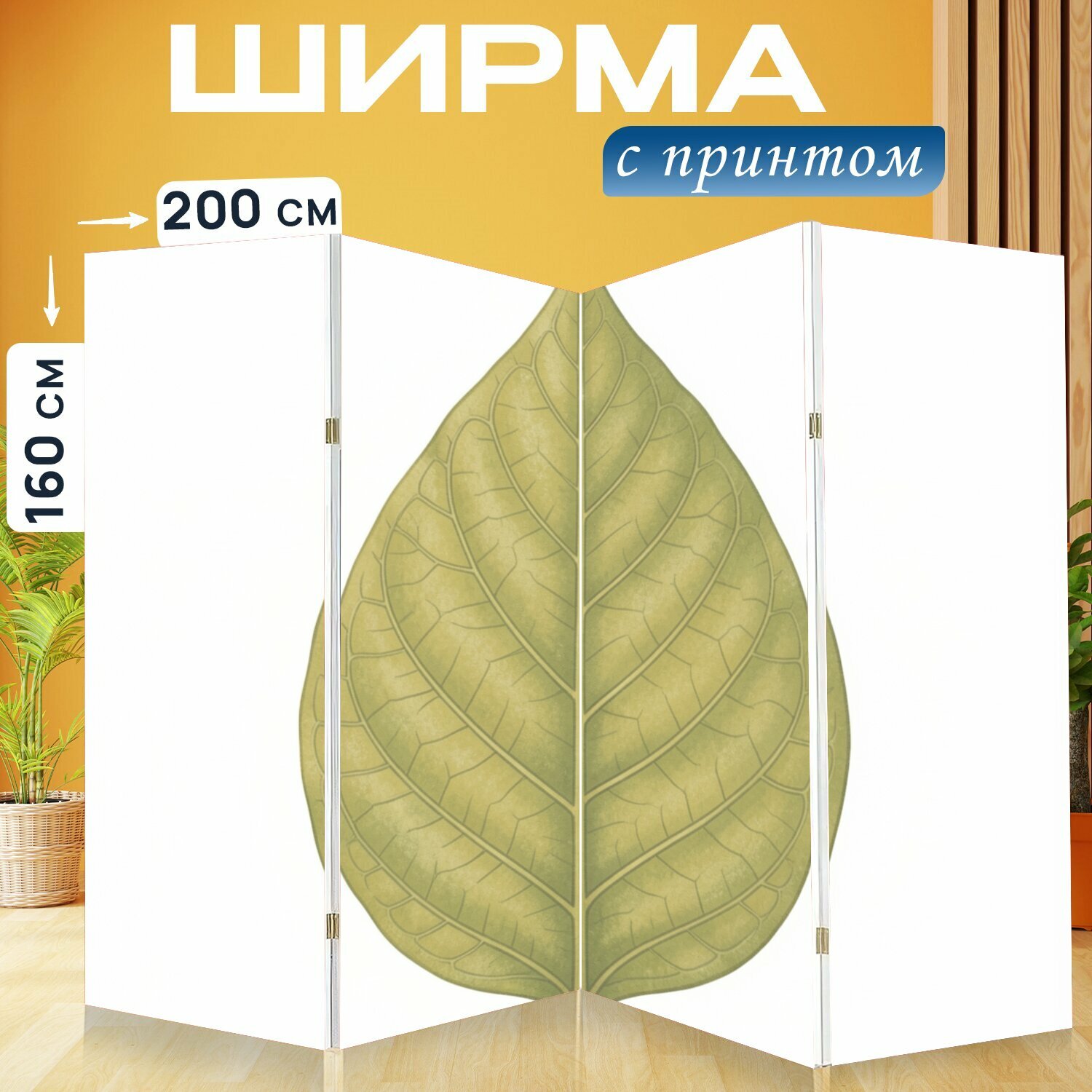 Ширма "Зеленый лист с прожилками. Одинокий ботанический лист с детально прорисованной сеткой жилок, мягкими." перегородка для зонирования комнаты с принтом 200x160 см. на холсте
