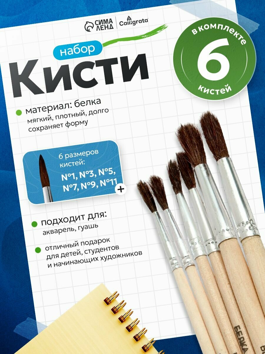 Кисточки для рисования белка, 6 штук (№1, 3, 5, 7, 9, 11) круглые набор кистей для художественных работ