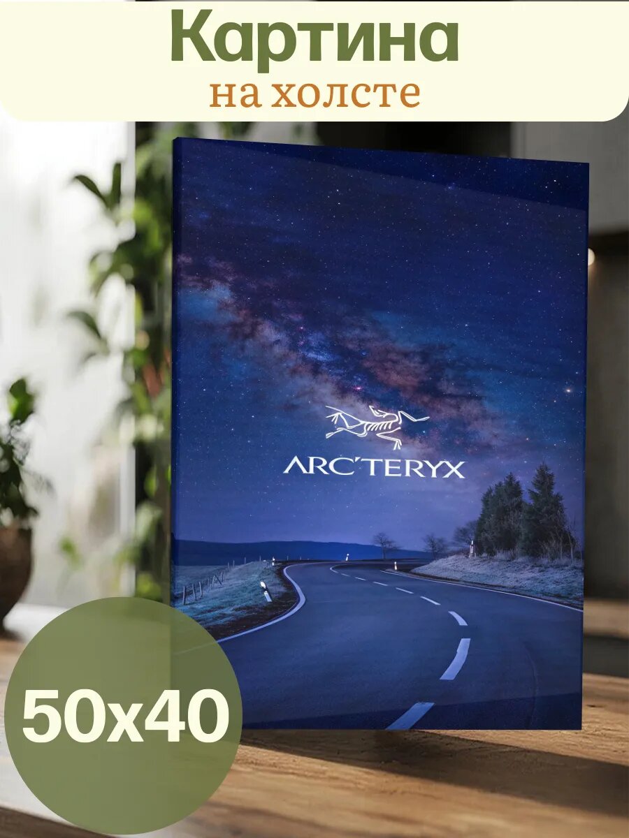 Картина 40х50 Арктерикс Arcterix Эстетика Стиль Мода Премиум