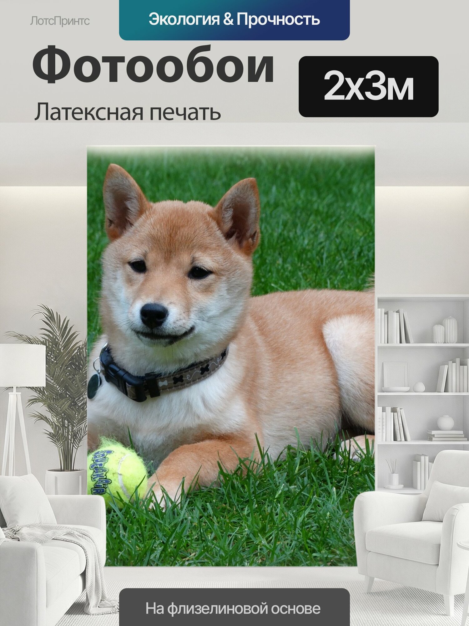 Фотообои моющиеся ударопрочные "Собака, удаленный доступ, сиба-ину" 200x300 см. латексная печать